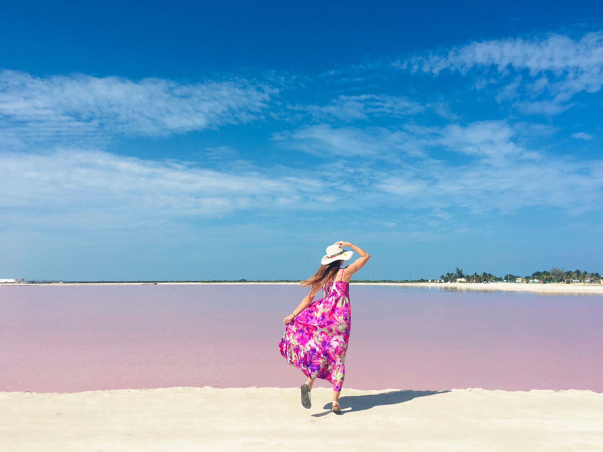 Rio Lagartos & Las Coloradas Excursion – Pink Lakes Tour | Amstar ...